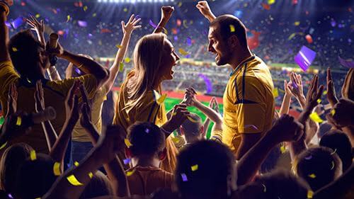 Sports Events & Concerts - Limo Service & Party Bus Rentals